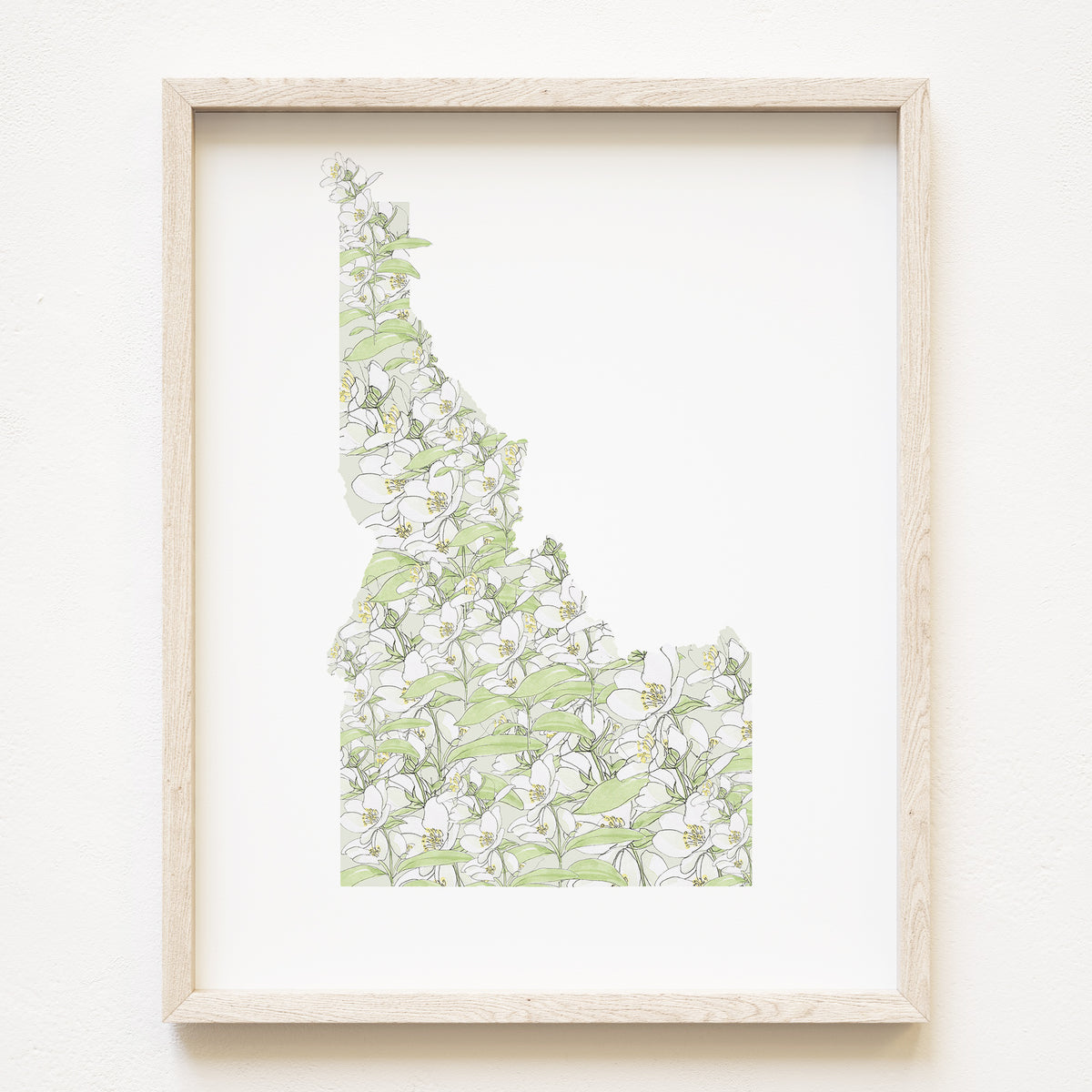 IDAHO State Flower Map: Syringa: PRINT — Turn-of-the-Centuries
