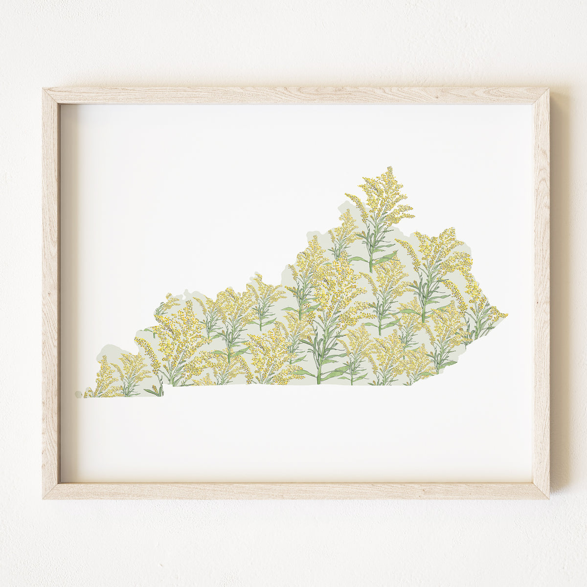 KENTUCKY State Flower Map: Goldenrod: PRINT — Turn-of-the-Centuries