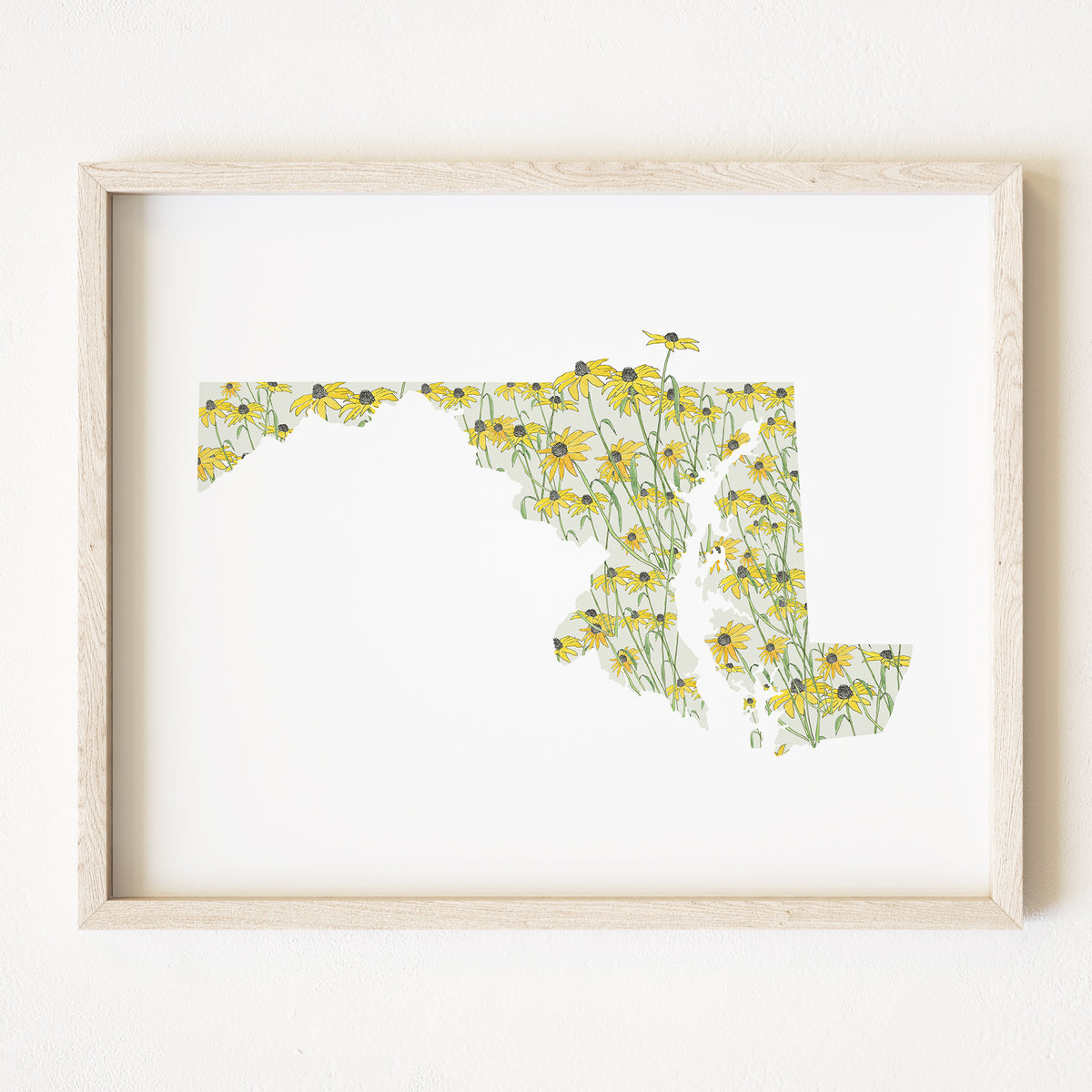 MARYLAND State Flower Map: Black-eyed Susan: PRINT — Turn-of-the-Centuries