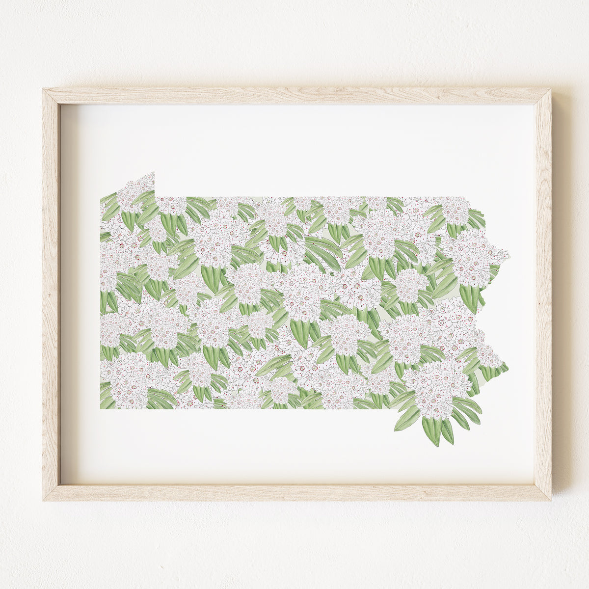 PENNSYLVANIA State Flower Map: Mountain Laurel: PRINT — Turn-of-the ...