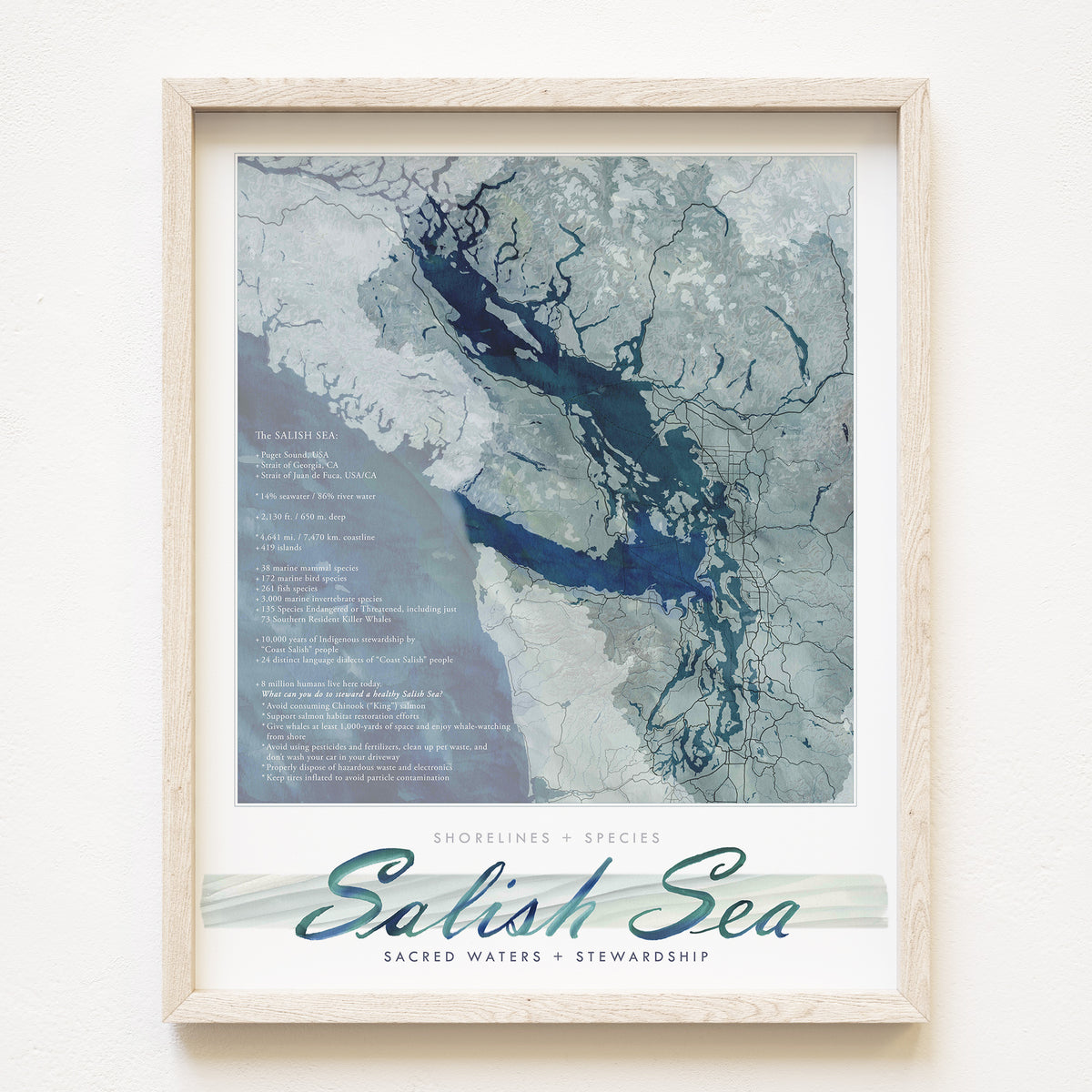 SALISH SEA Puget Sound Washington Strait of Georgia British Columbia W ...