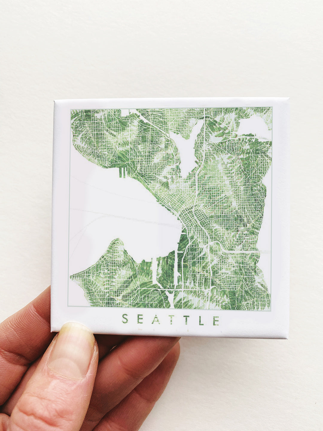 SEATTLE Washington Ferns Map: MAGNET — Turn-of-the-Centuries