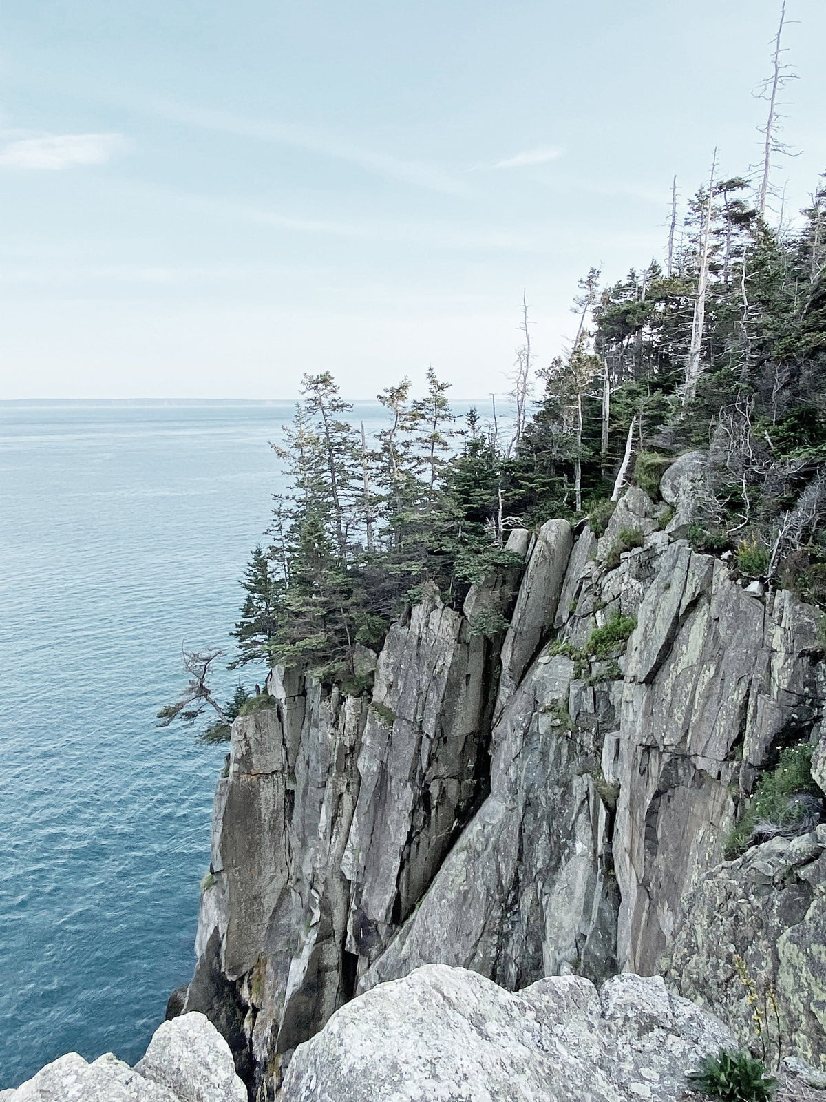 Sea Cliffs 3 — Turn-of-the-Centuries